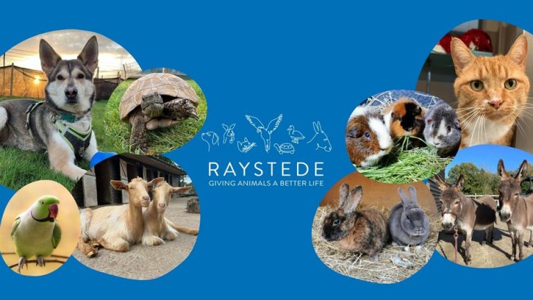 Free Talk - the Raystede Animal Sanctuary - The Small Farm Training Group