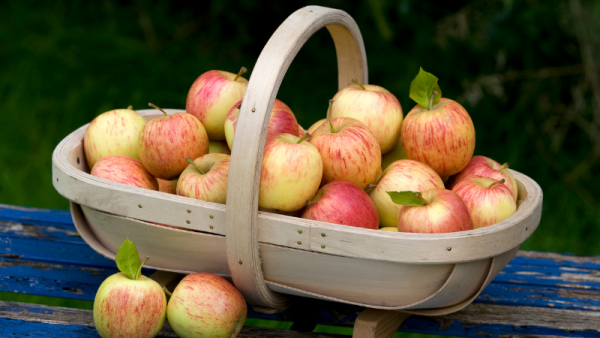 Make Your Own Sussex Trug in a Day - The Small Farm Training Group